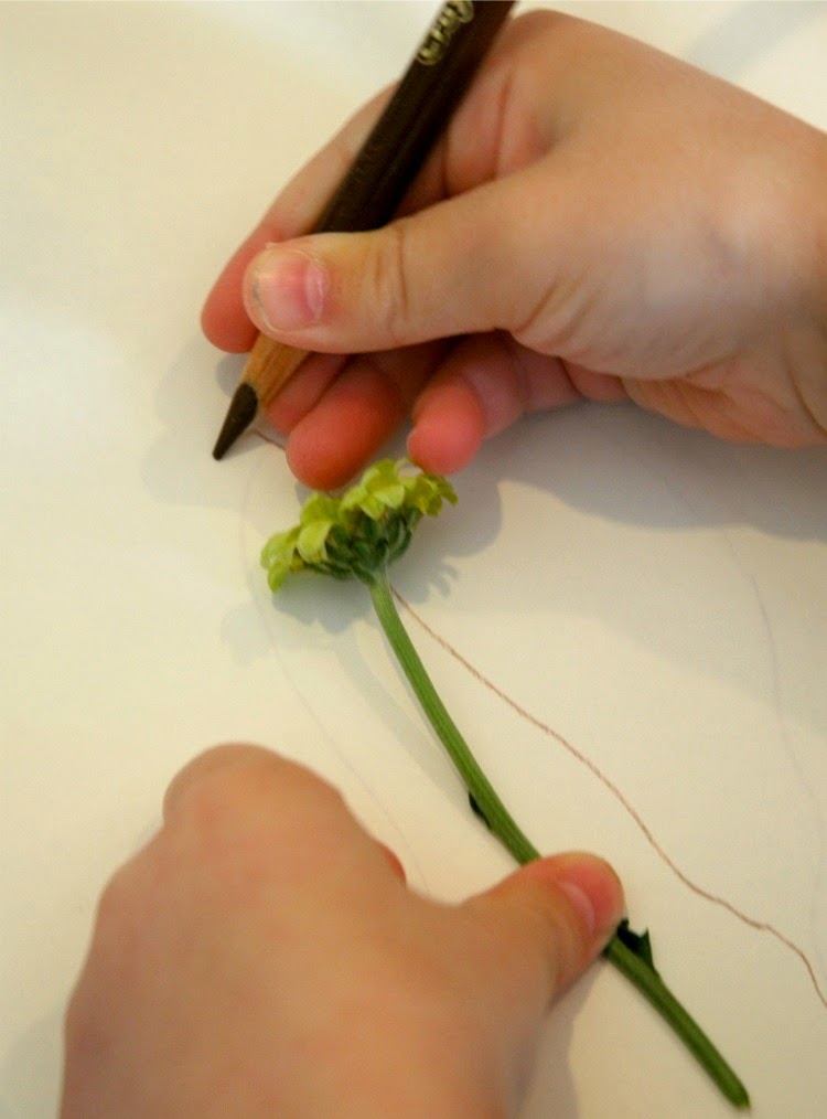 Flower Exploration Science Lesson | What Can We Do With Paper And Glue