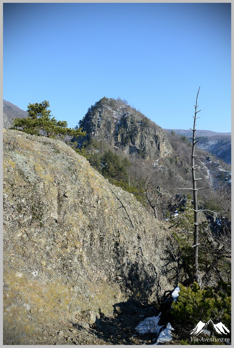 ~ Via Aventura ~: Uneori Muntii Cozia. Alteori Muntii Nucet. Si ce "Coz ...