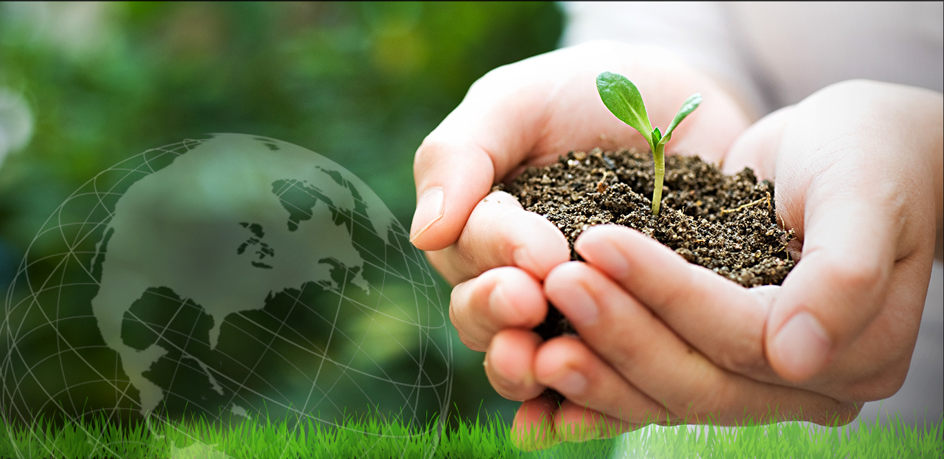 FORTALECIENDO NUESTRA CONCIENCIA AMBIENTAL SANMARTINIANA: PROYECTO ...