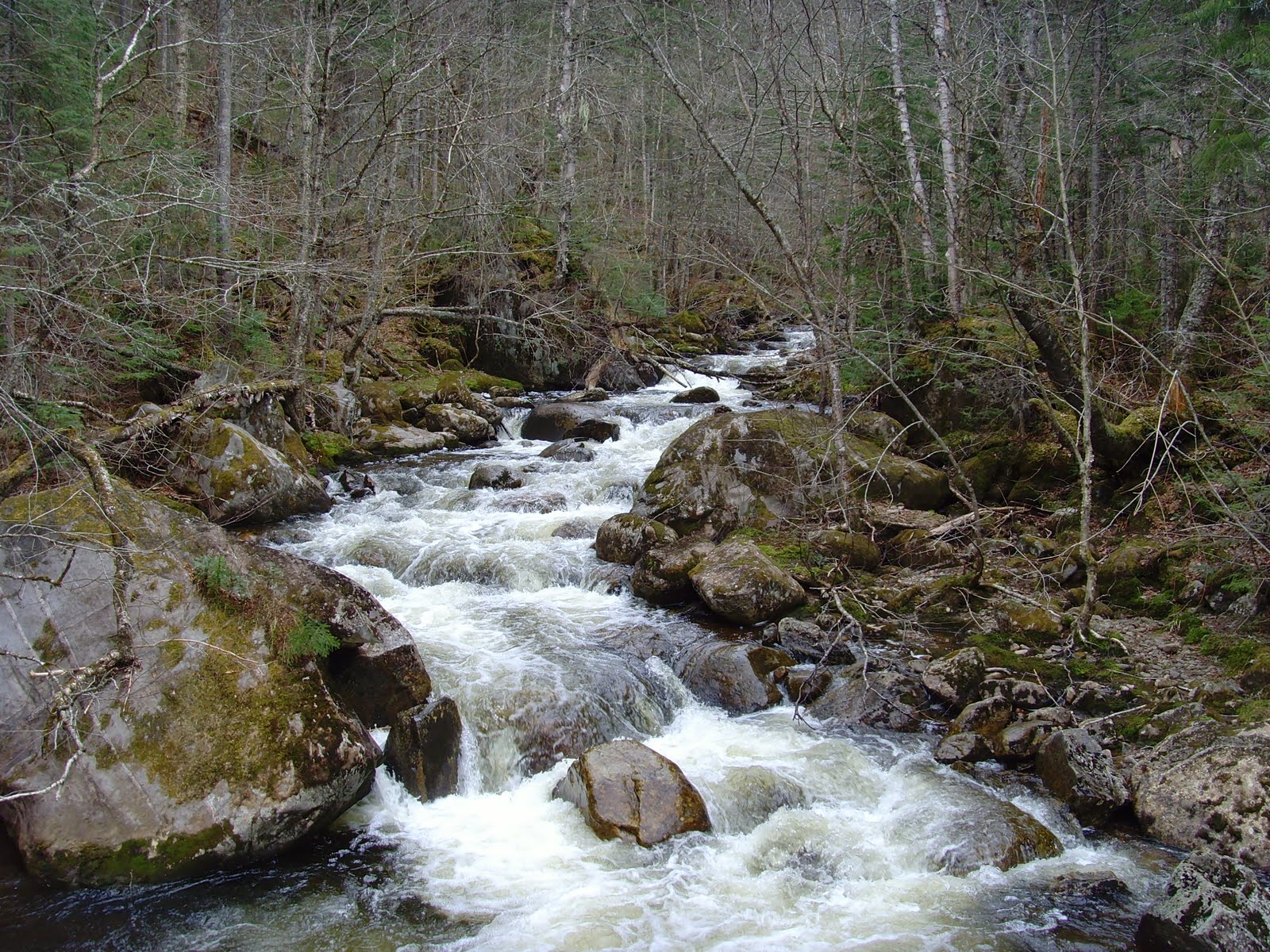 JE ME SOUVIENS: Parc National : Jaques-Cartier ( 3ème partie )