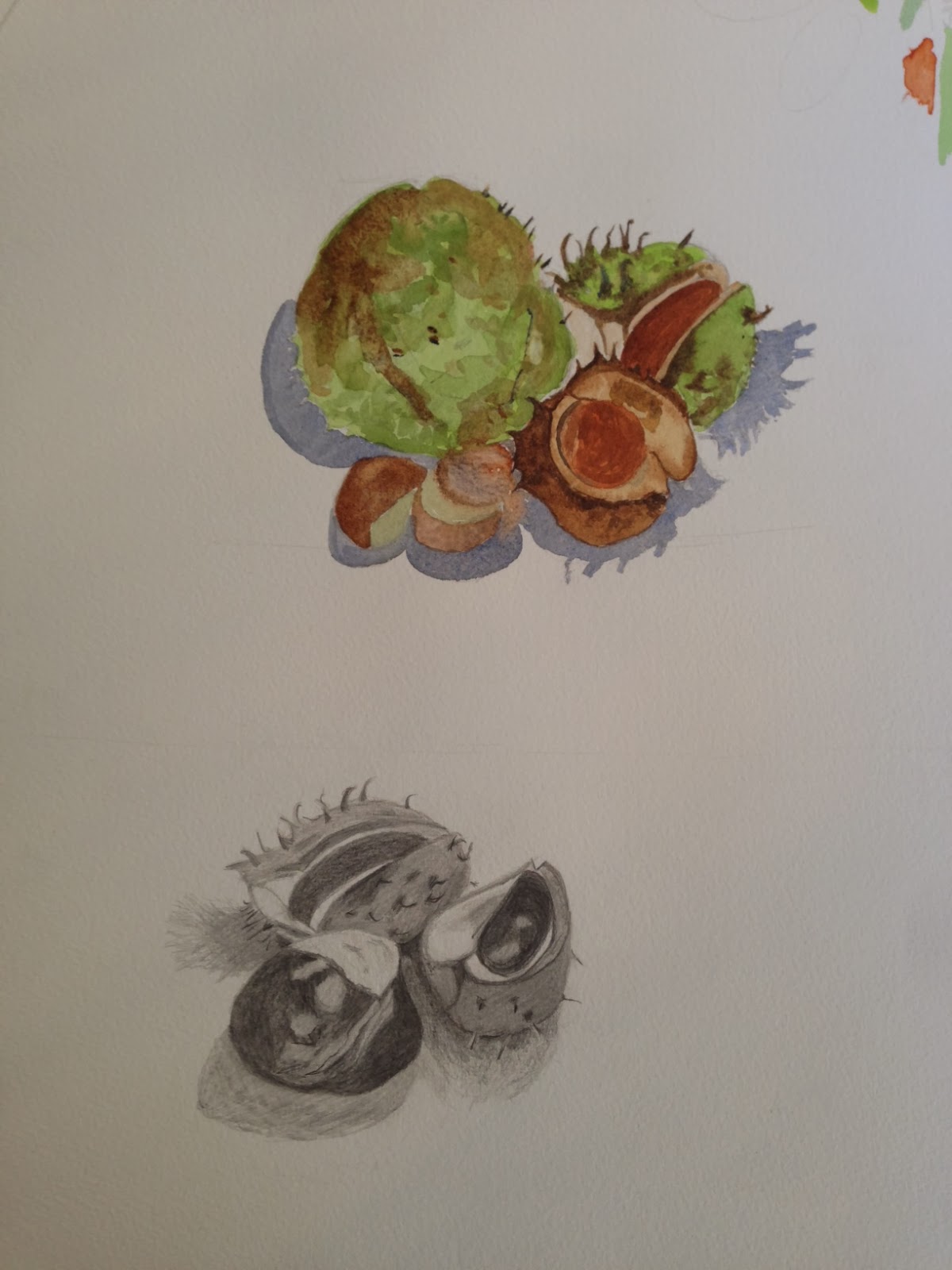 Julie Douglas, Notes from The Atelier: Conkers, drawing and water ...