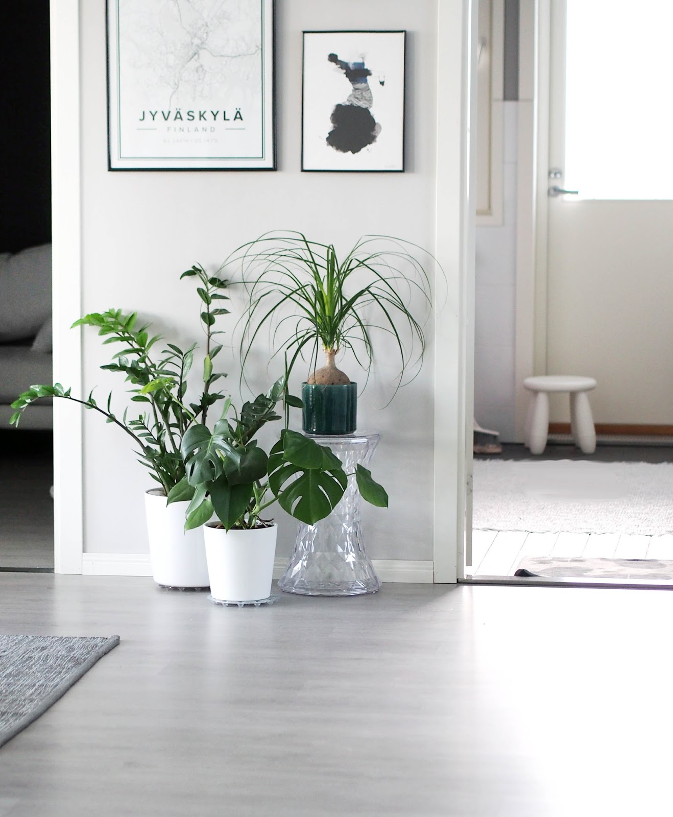 Pallomainen huiskupullojukka ja arvontamuistutus | Valkoisen vuoren ...