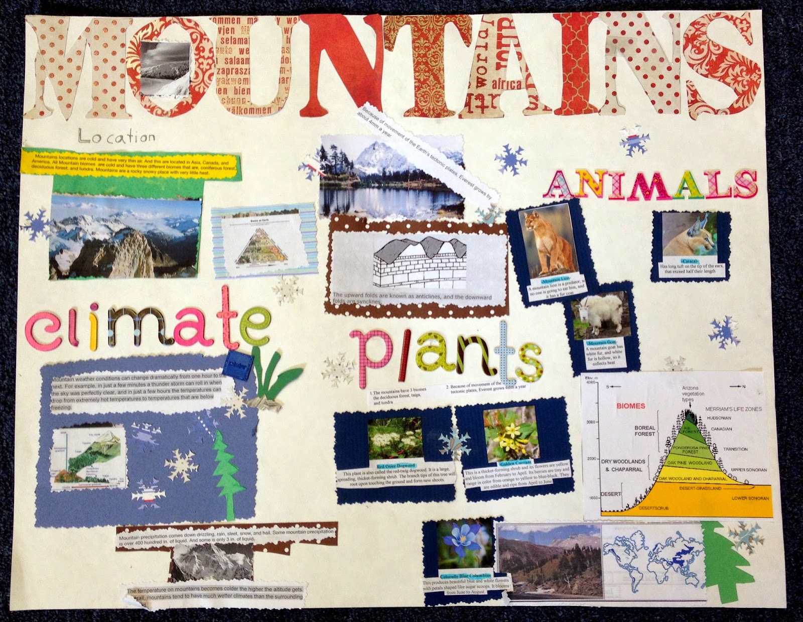 Let's Learn About BIOMES! - ~Joy in the Journey~