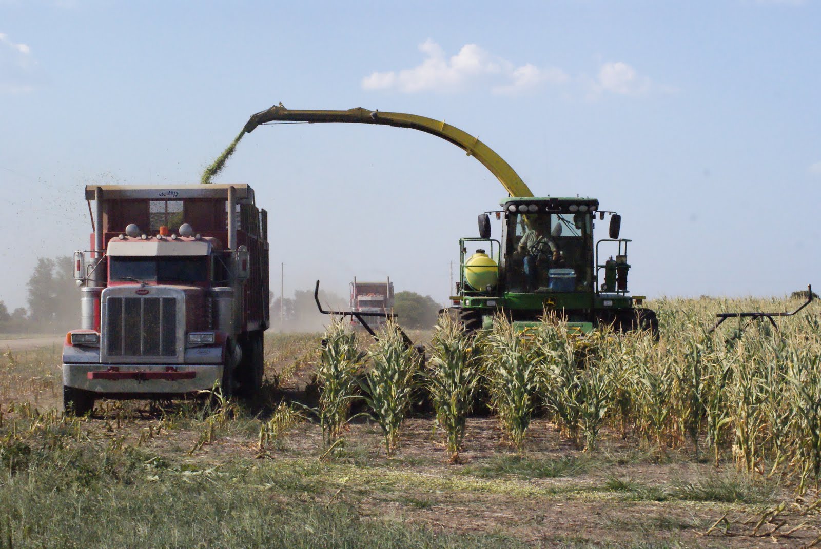Schragville: Corn Chopping