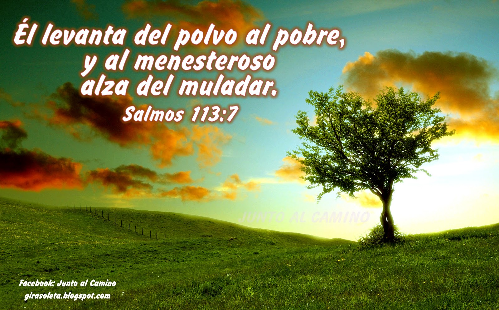 Junto al Camino: DIOS ME LEVANTA