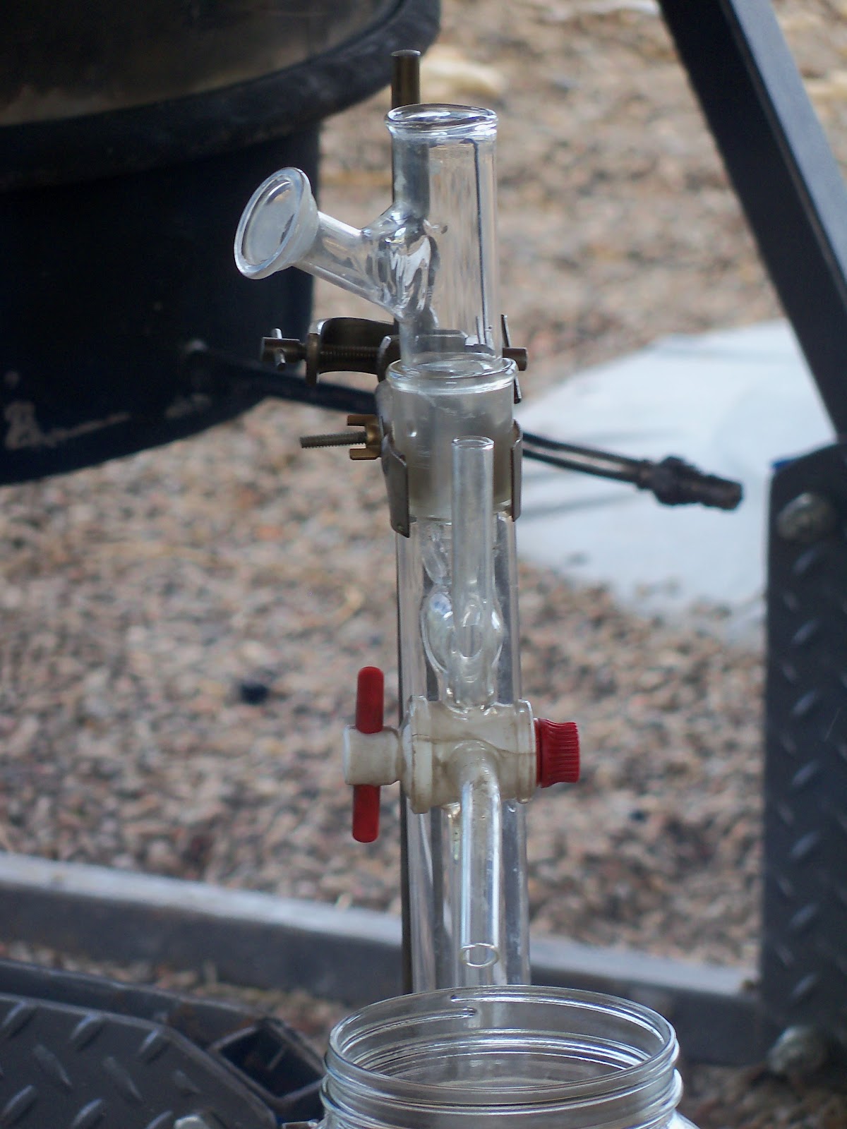 Plant Journeys: Calendula at Peak, Lavender Distillation, and Summer Lush