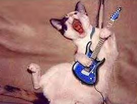Singing Cats that will make you Smile | Super Meow Meow