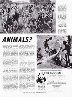 Raymond Sheppard Illustrator