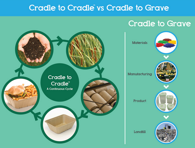The GREEN MARKET ORACLE: Infographic - Cradle to Cradle: Rethinking Design