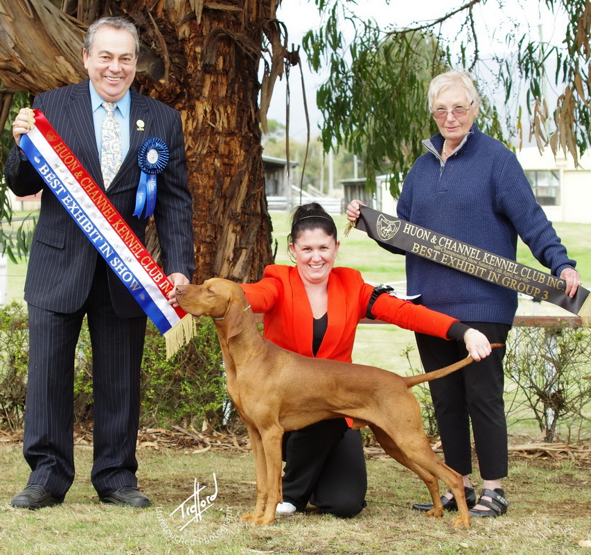 TraffordPhotos - Australian Dog Show Photos: HUON AND CHANNEL KENNEL ...