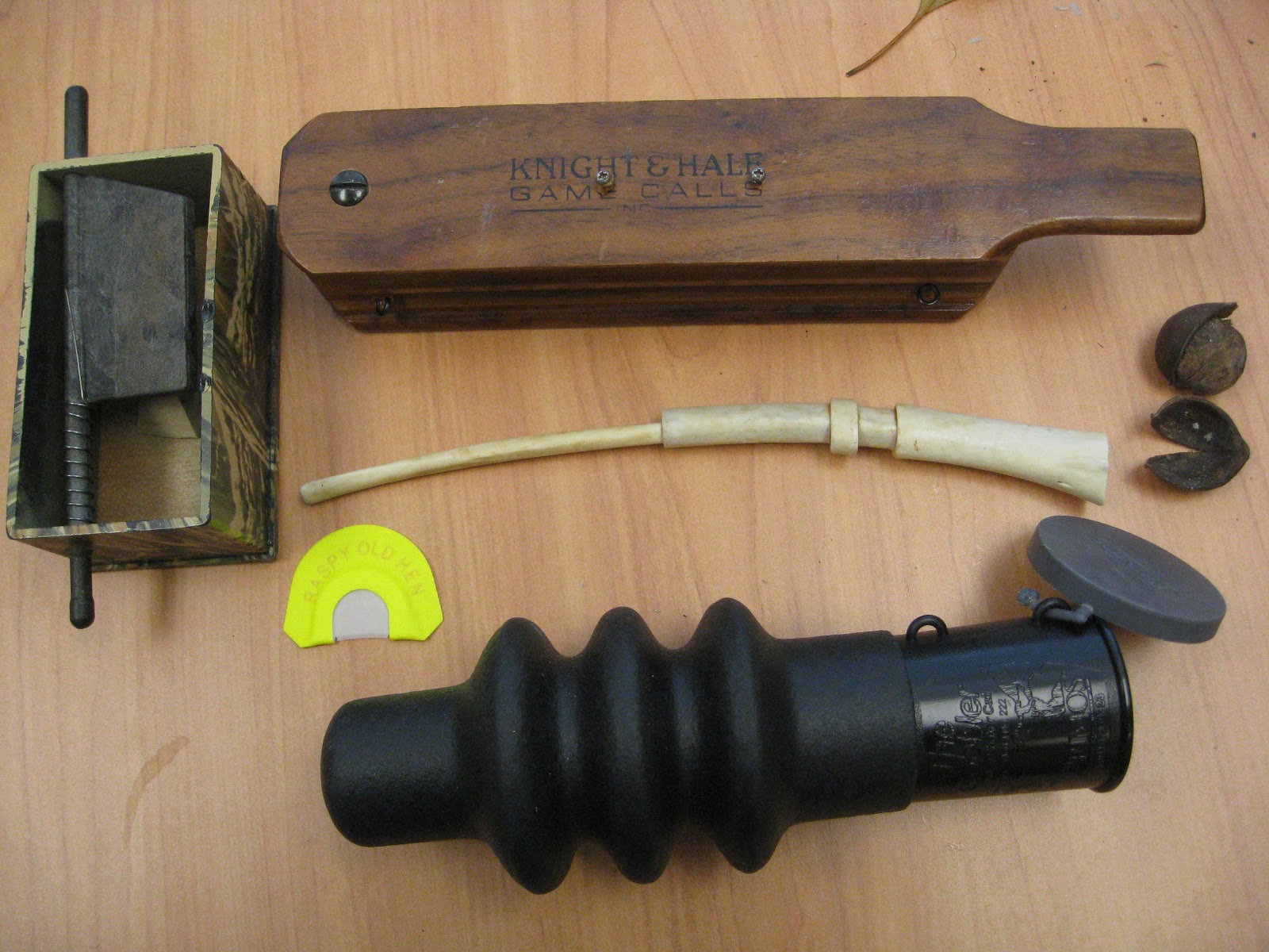 Capital Naturalist by Alonso Abugattas: Turkey Tidbits