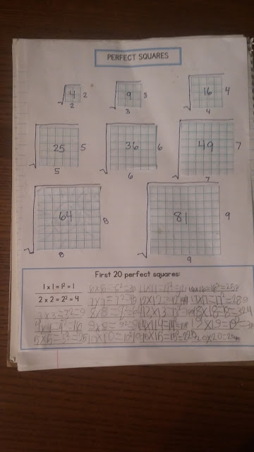 Square Roots & Perfect Squares | TJ Homeschooling
