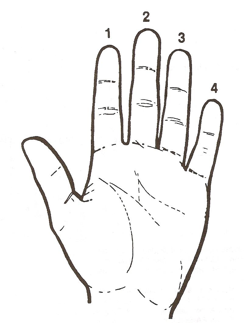Guitarra Práctica y Sencilla: Teoría básica I: Acompañamiento y melodía