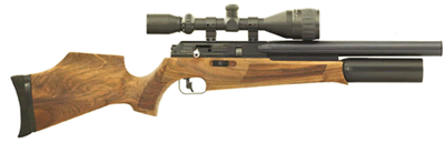 A Different Calibre: BSA Airguns The 'Tens'