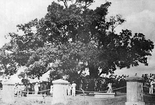 Actualizaciones de Guije: Cuba y los Mangos de Baraguá