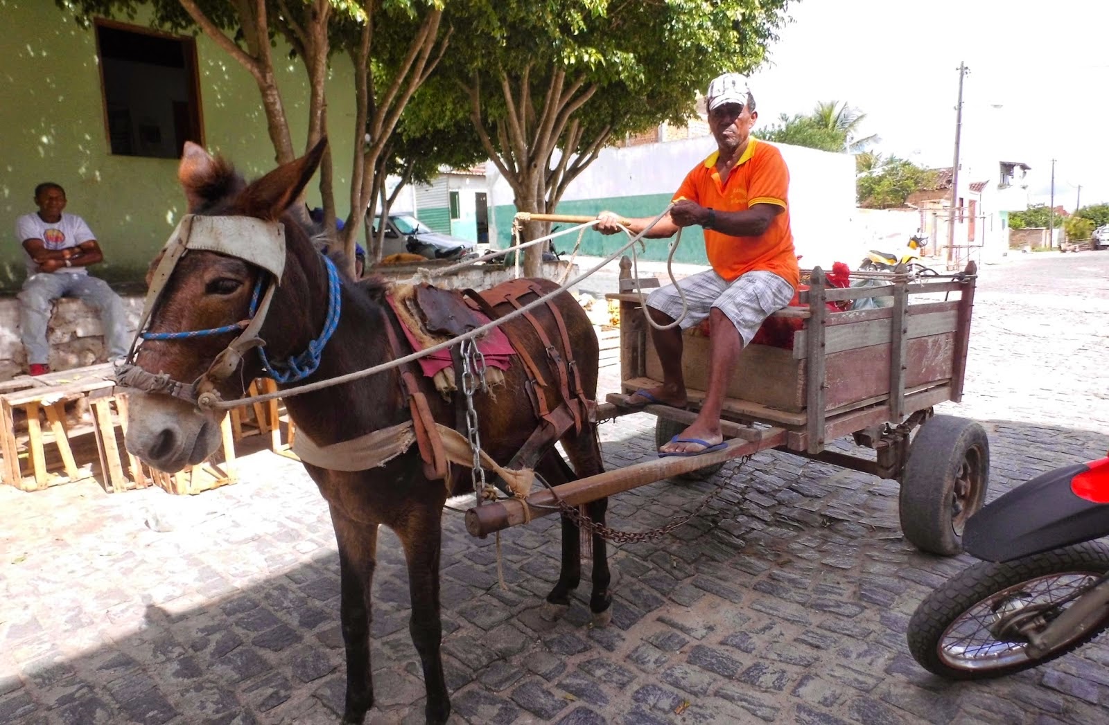 BARROCAS - BAHIA: A CARROÇA SEGUE MANTENDO A TRADIÇÃO NO MUNICÍPIO DE ...