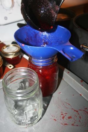 Two Bears Farm and the Three Cubs: May 2011