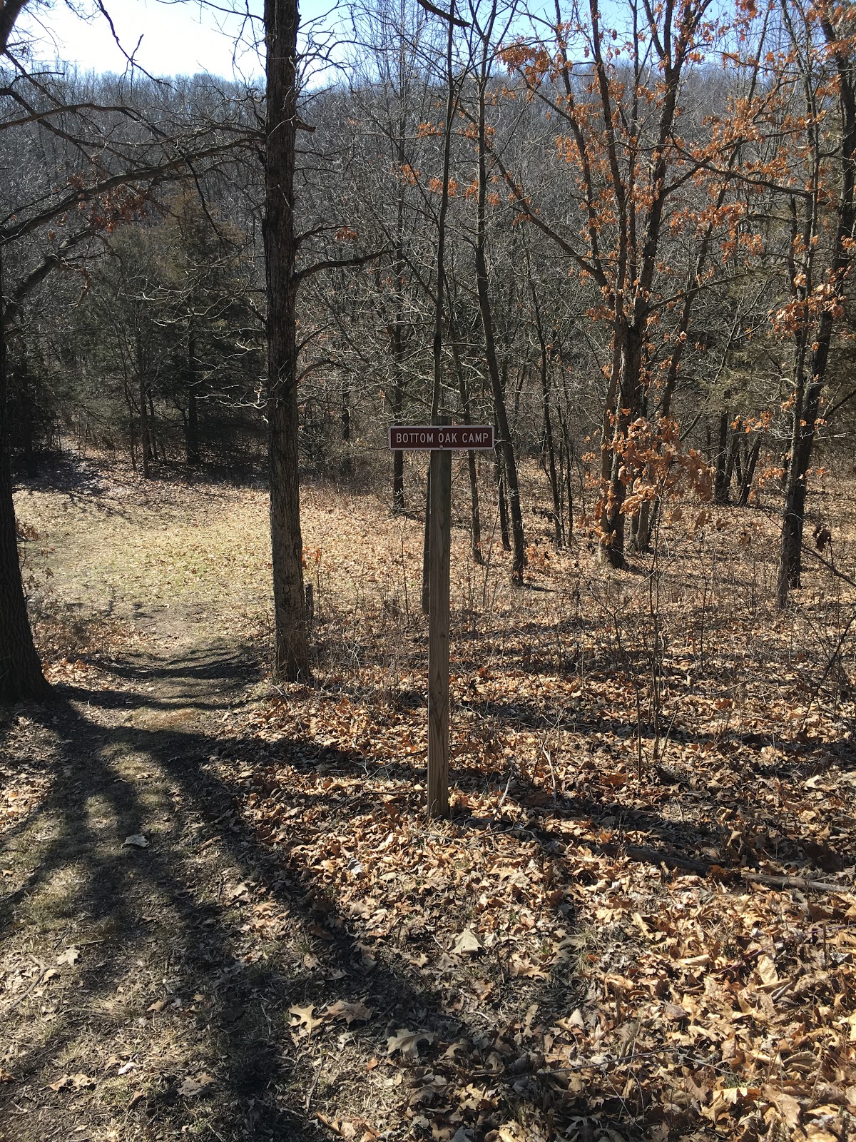 Backpacking Stephens State Forest - Woodburn Unit West Loop