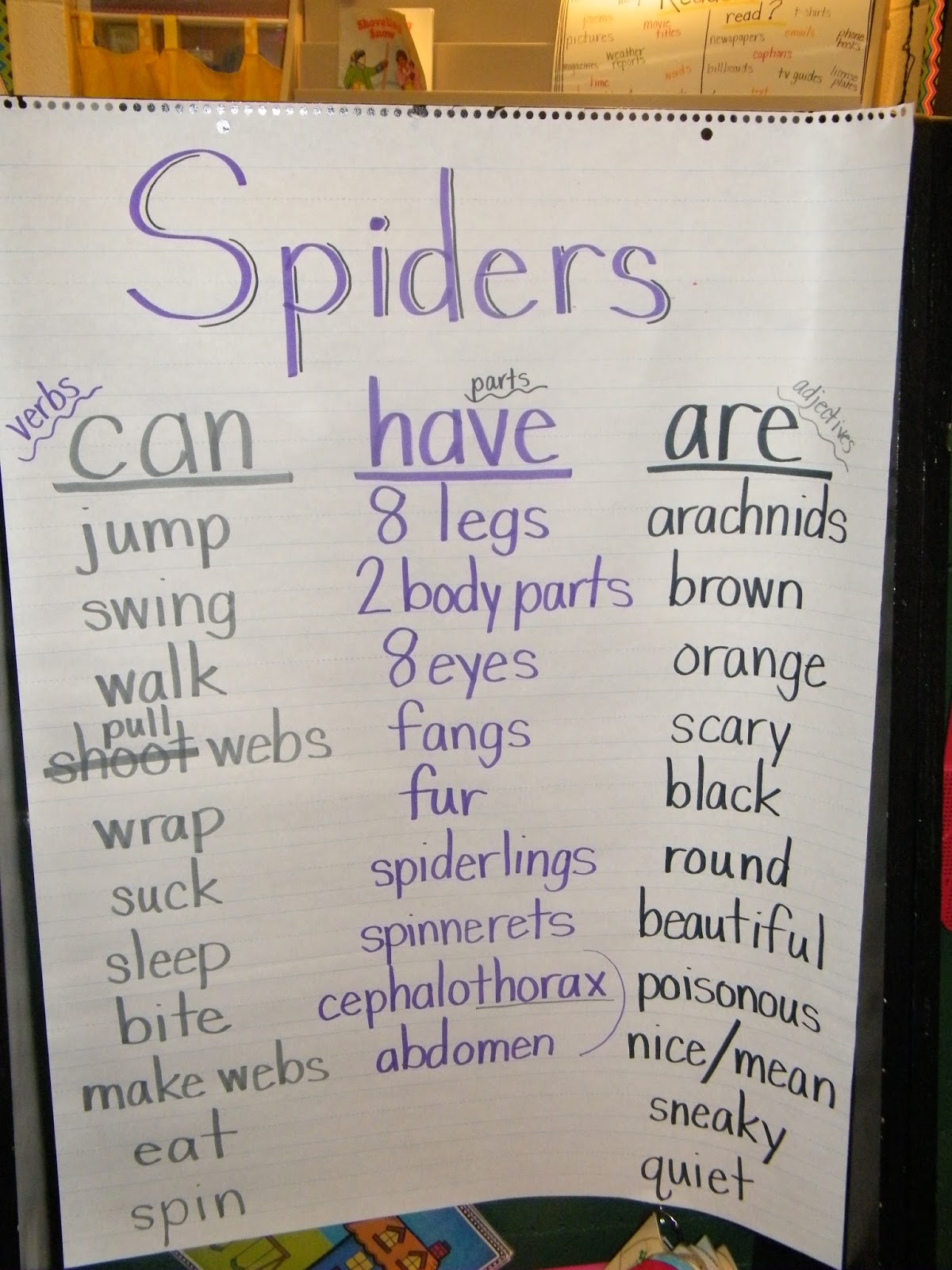 Adventures With Firsties: Creepy Crawly Spiders!