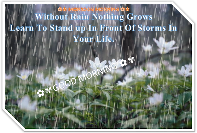 Moonsoon Thoughts: Top 5 Monsoon Morning Thoughts and Watts app Images