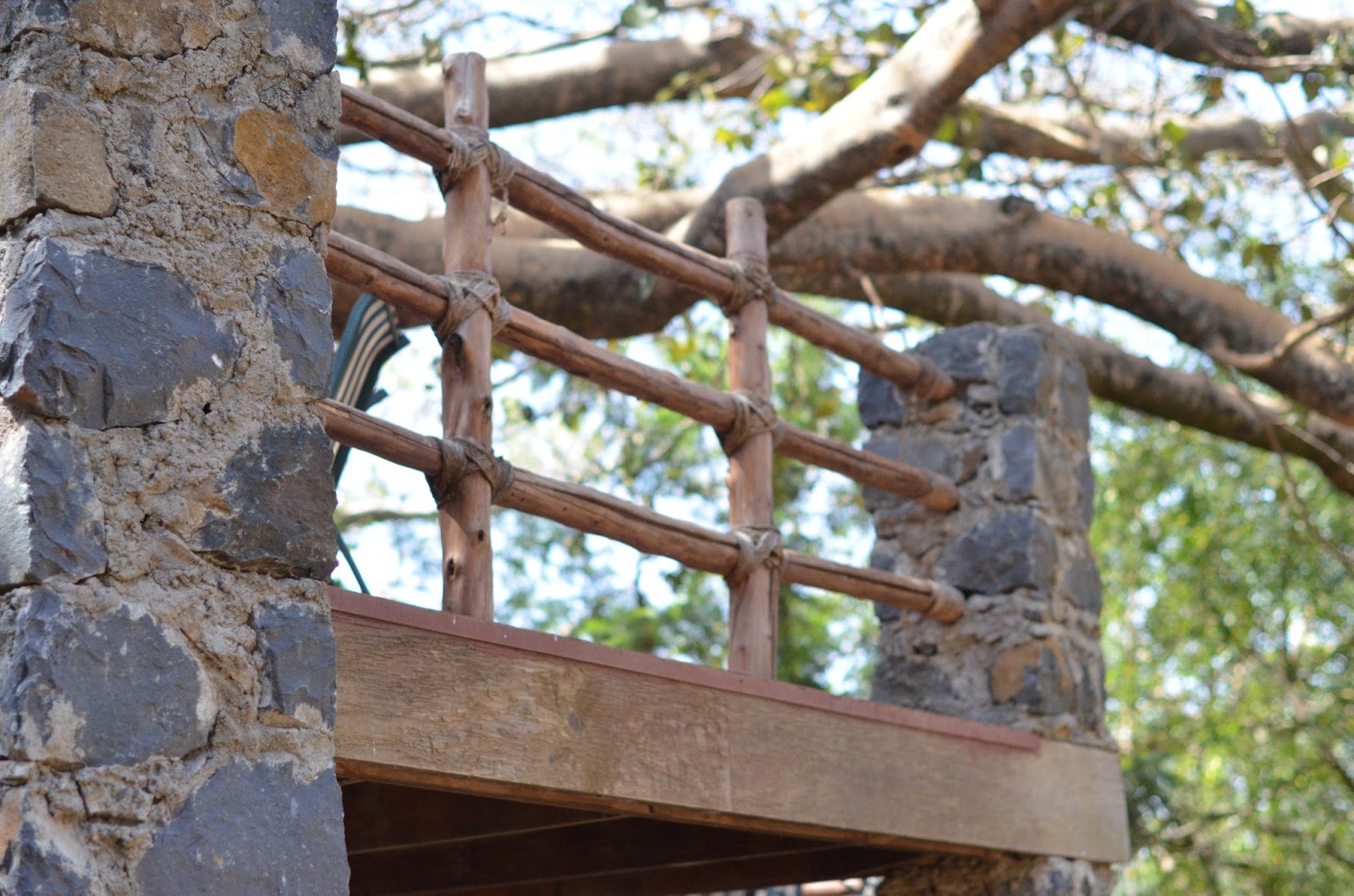 Our Yuppie Life: Negash Lodge Wolliso