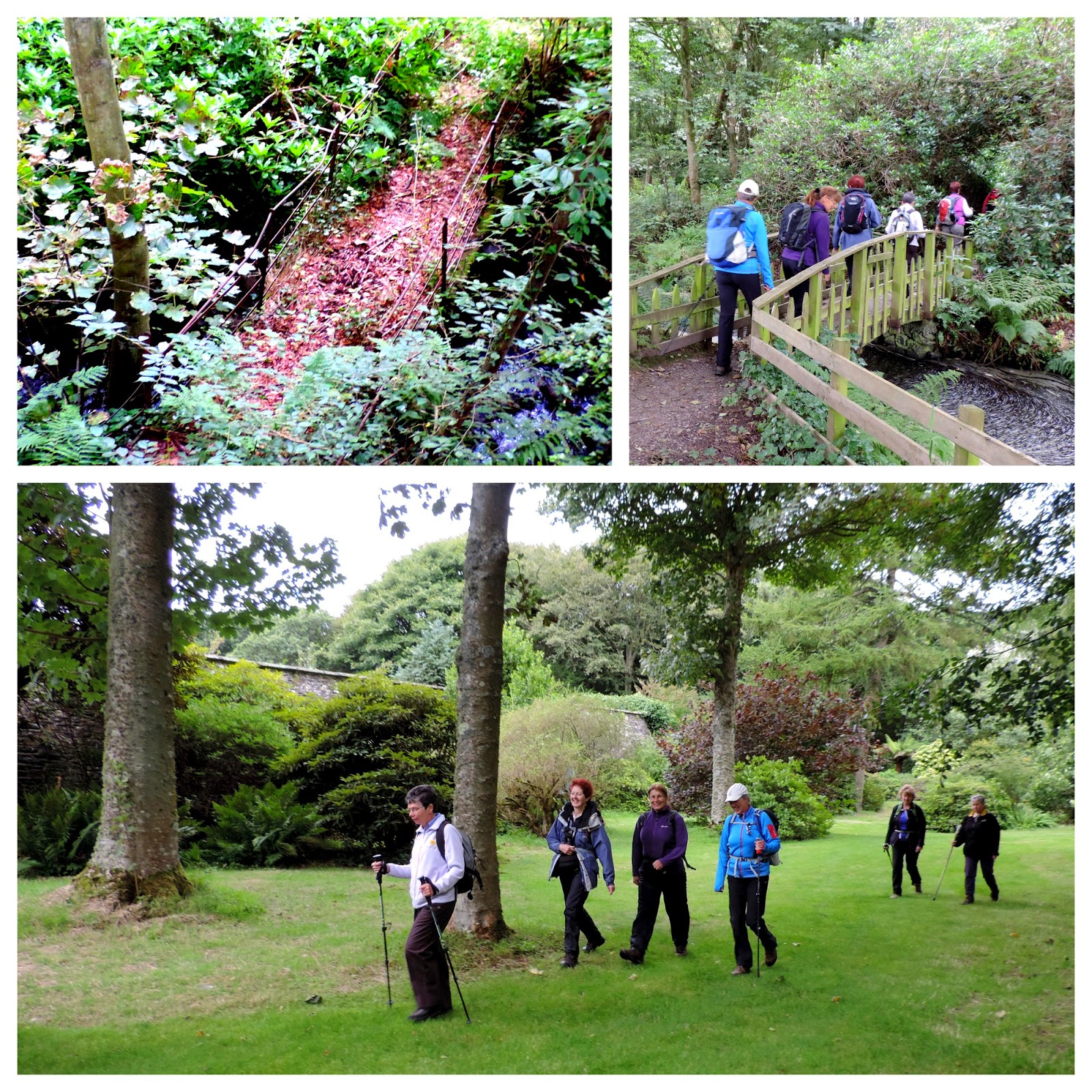 The Glebe Blog: Wigtownshire Ramblers Ardwell Coast to Coast and ...