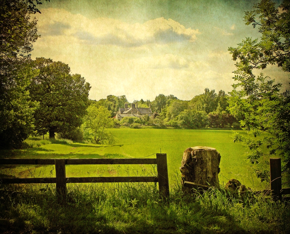 Getty Images Sale: "A scene From Countryside"