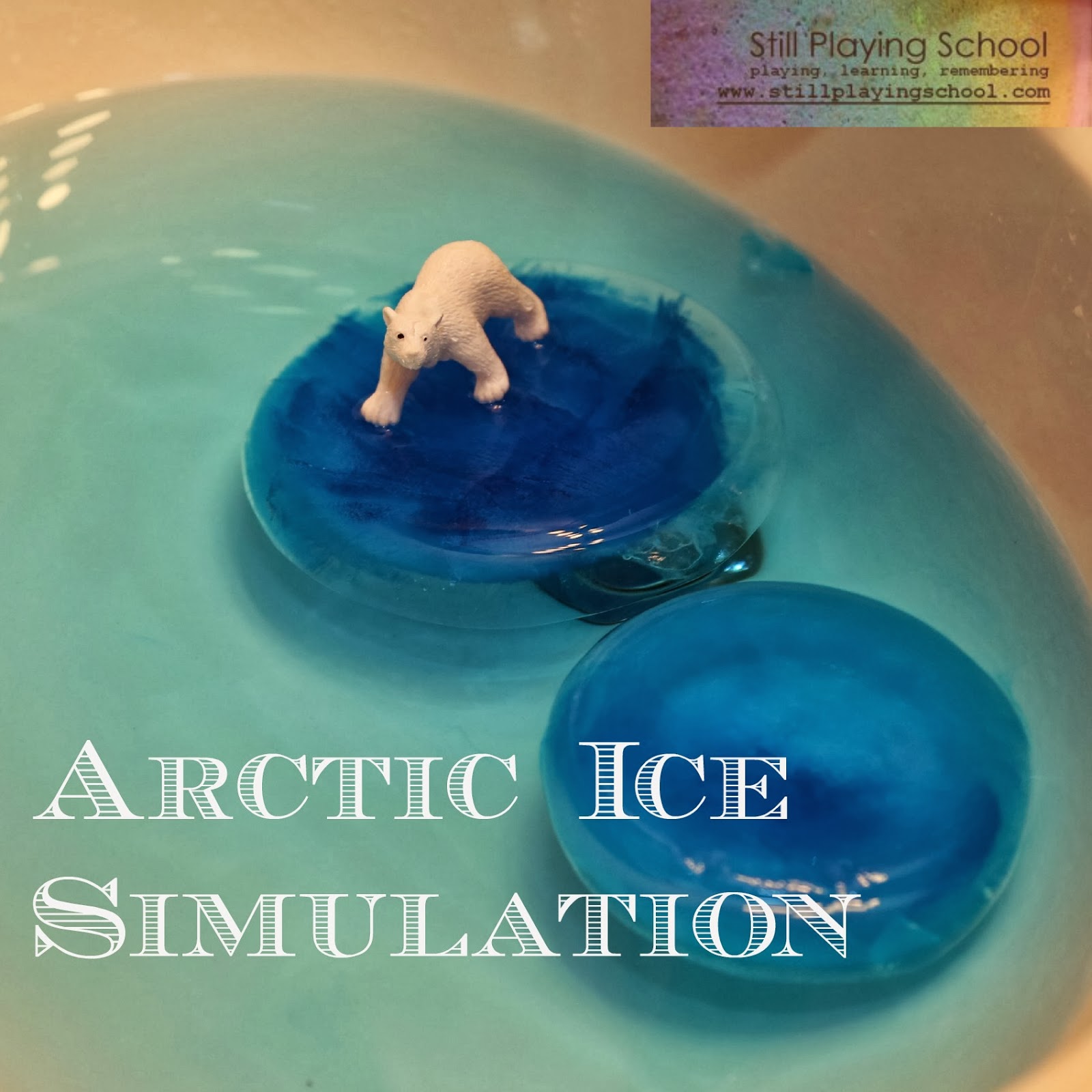 Investigating Polar Regions Using a KWL Chart | Still Playing School