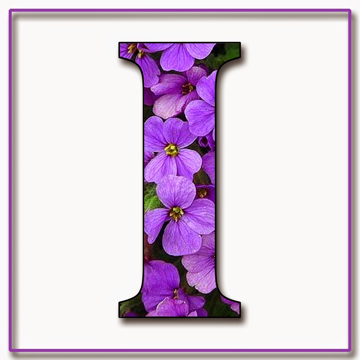 SGBlogosfera. María José Argüeso: DE VIOLETAS