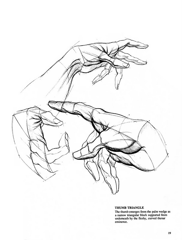 Anatomie Artistica BURNE HOGARTH & Gheorghe Ghitescu: BURNE HOGARTH ...