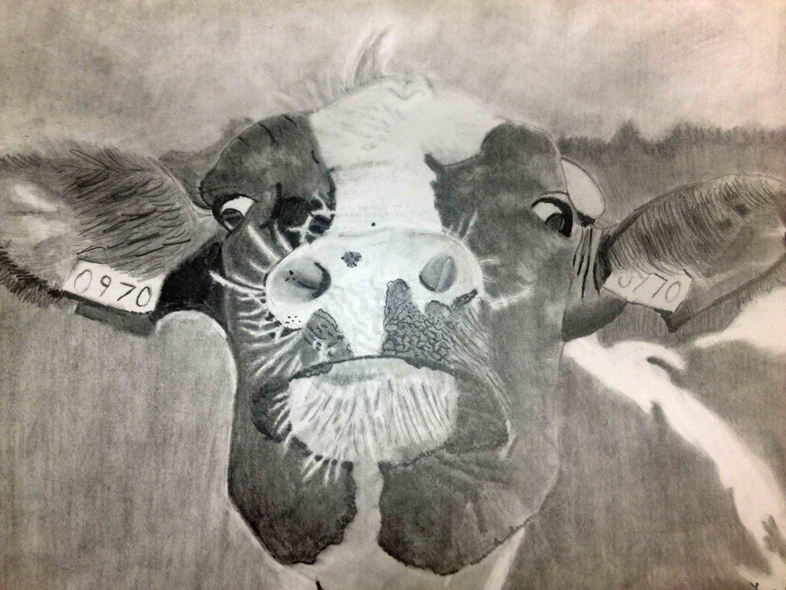 art @ the heart: Grade 9 Graphite Drawings