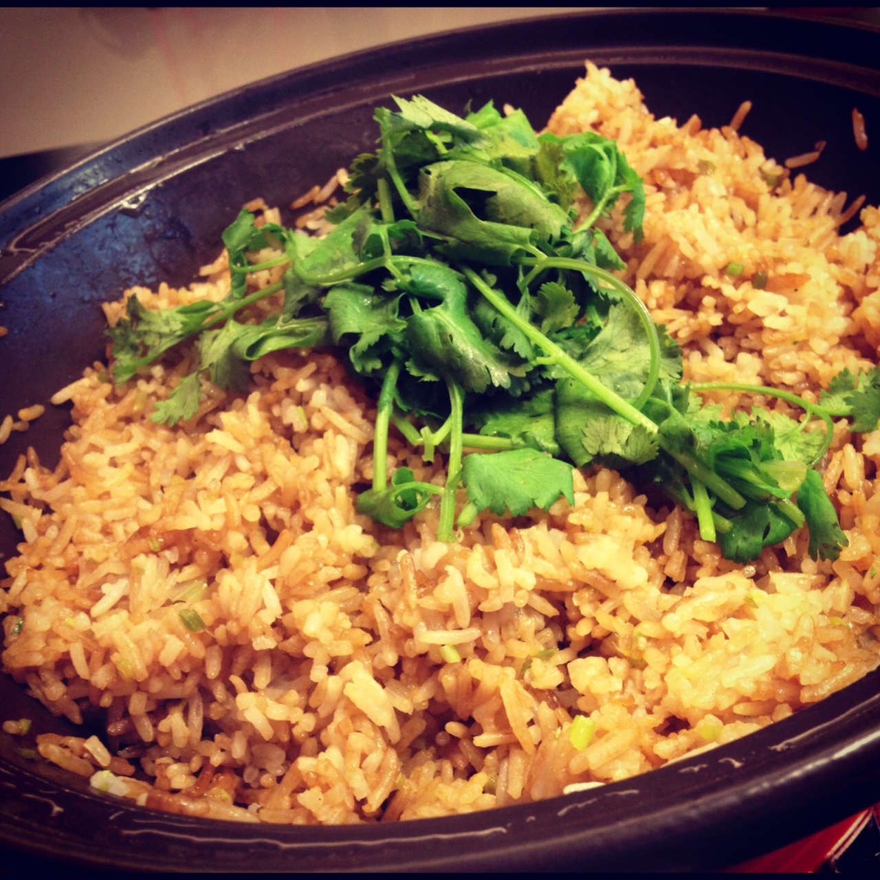 Life of a Lil Notti Monkey: Waxed Meat Rice aka Lap Mei Fan