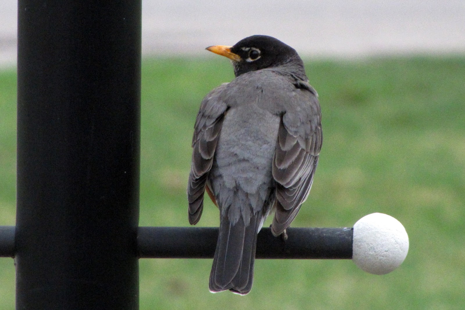 To Behold the Beauty: Changing Cameras