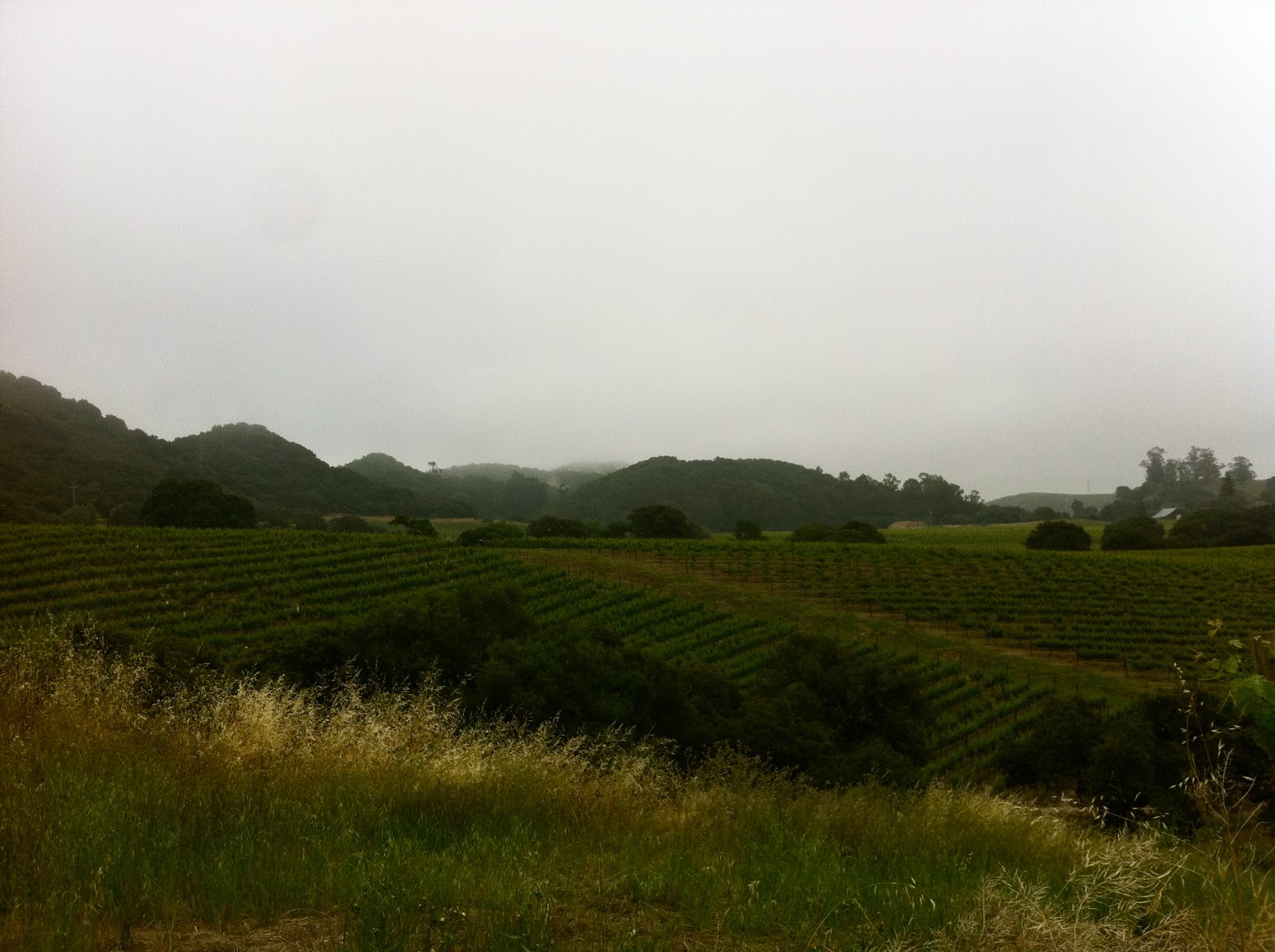 Fake Plastic Barrels: Cellar Field Trip Part One: Gundlach Bundschu