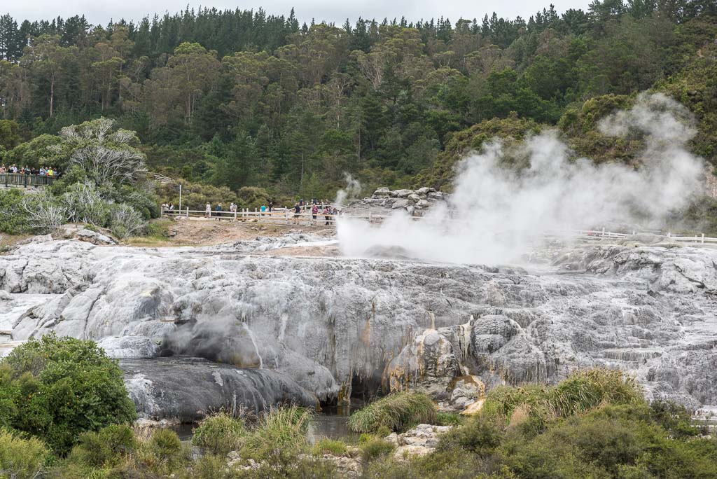 Tauranga & Rotorua, New Zealand