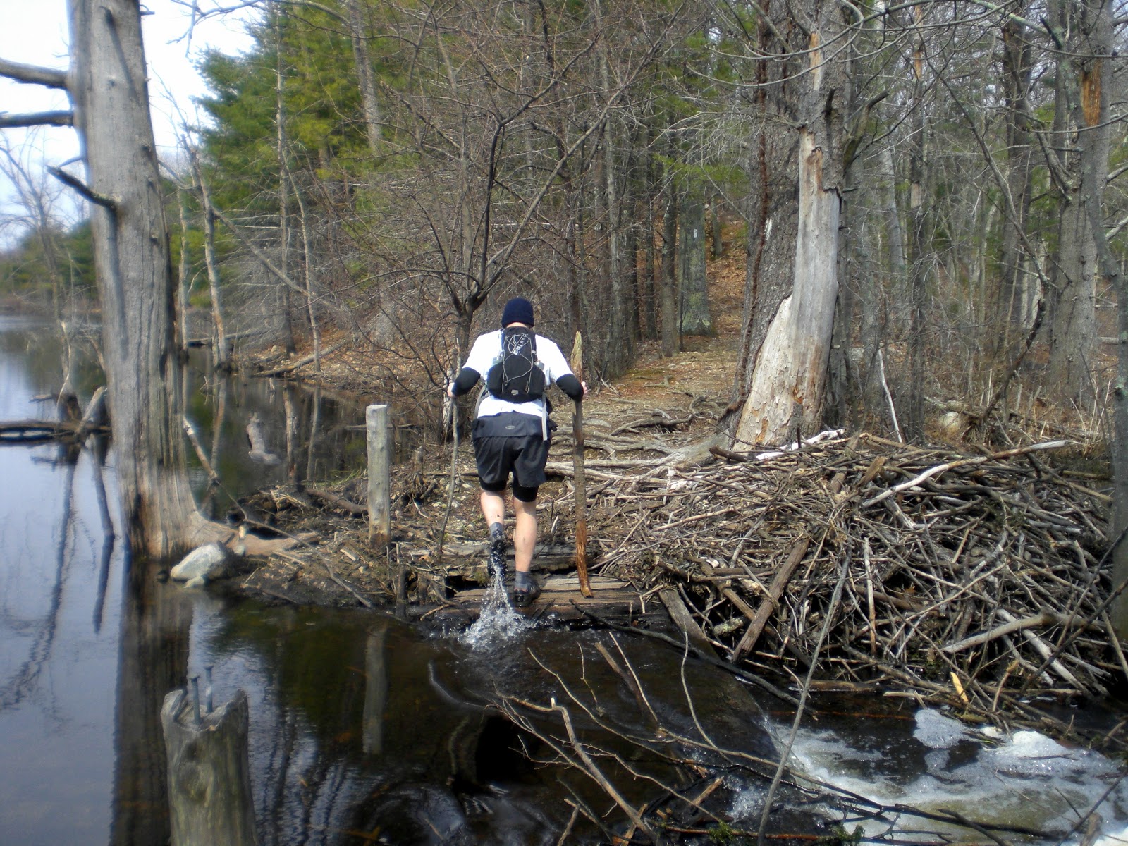 Breakheart Trail Running: Bay Circuit Trail Run, Section 2 - Boardwalks ...