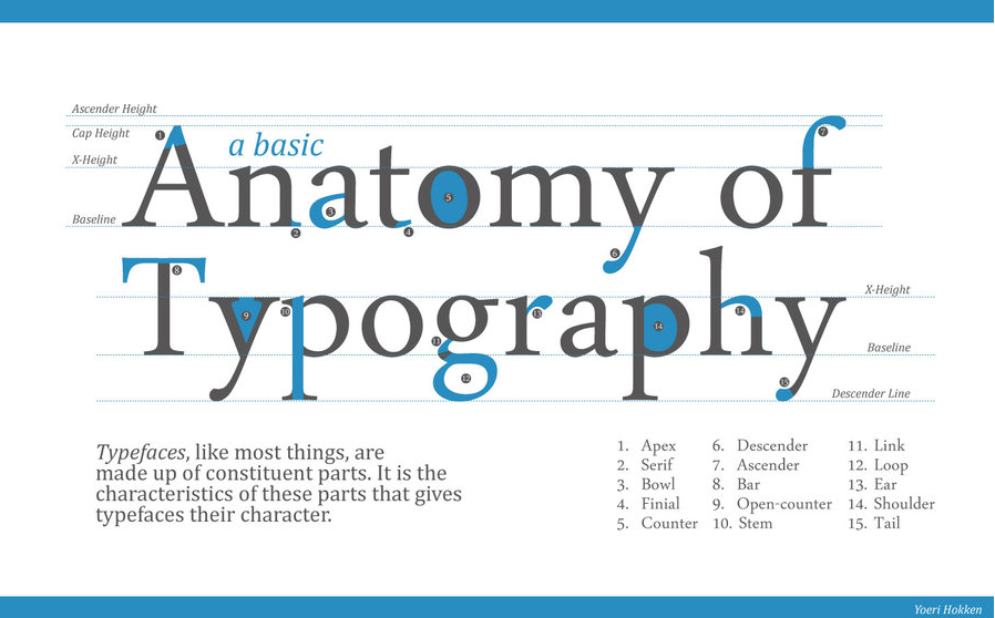 Design Practice: Typography Workshop // Anatomy of Type