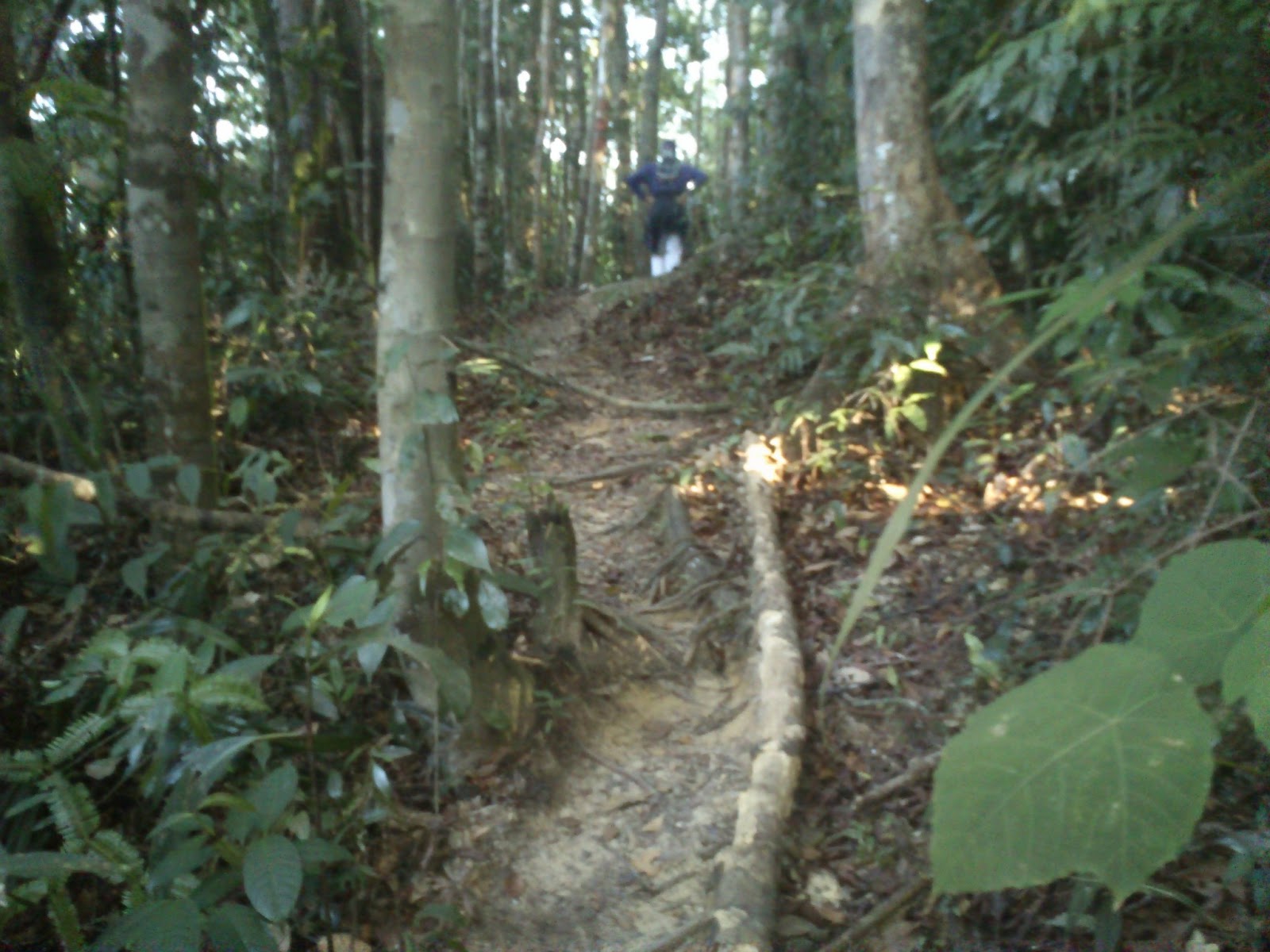 Bukit Bauk Jogging Track - Jungle Hike - Zulfahmi Ab Salam