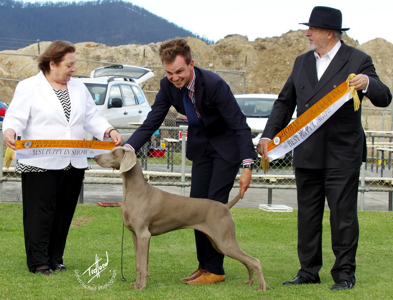 TraffordPhotos - Australian Dog Show Photos: HOBART DOG CLUB SUMMERFEST ...