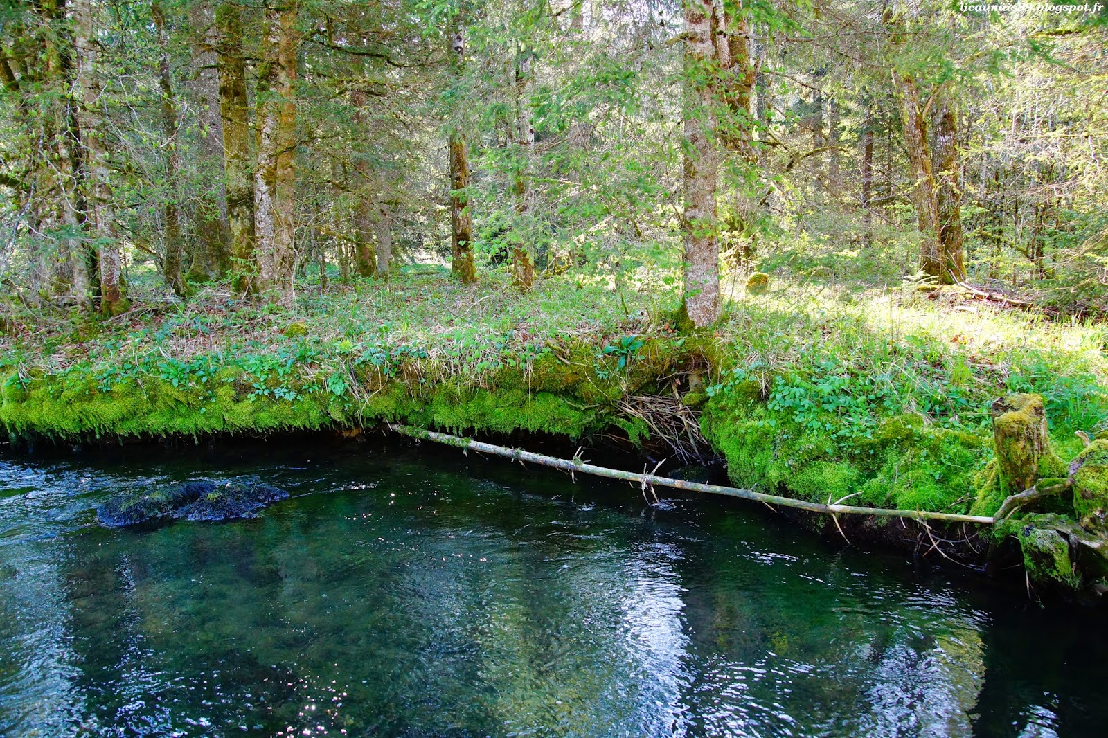 la vie est belle: En suivant la SAINE!!!!!! paysage paisible et magnifique.
