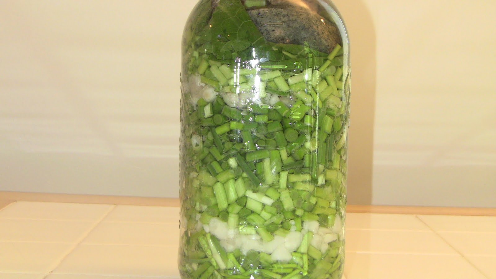 Sophisticated Peasant: Green Garlic, Fermented!