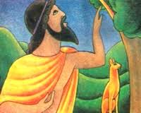 Dra. Dora Davison: EL TOQUE DEL REY MIDAS