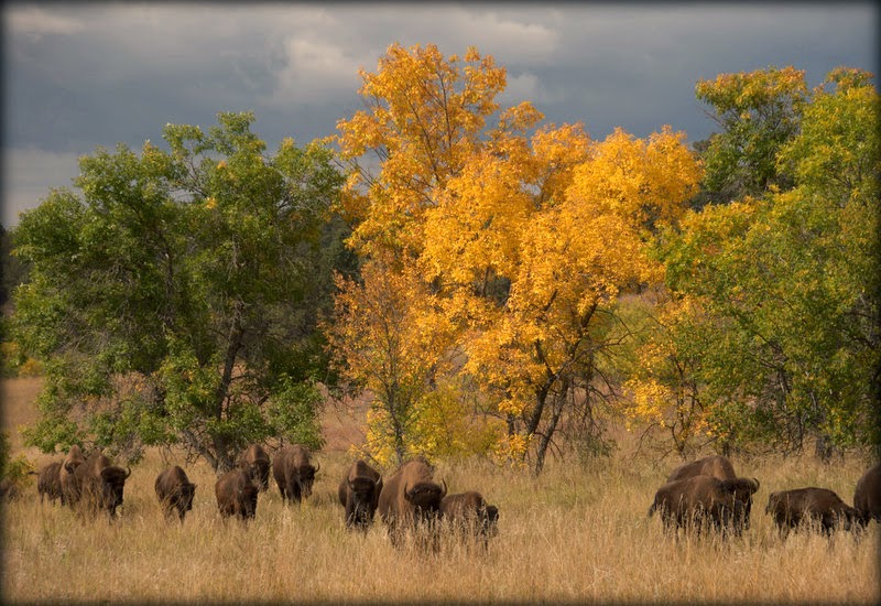 Travels with Fred & Susan Magness