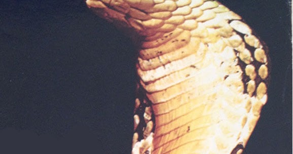 ASL: Creatures: The Serpent