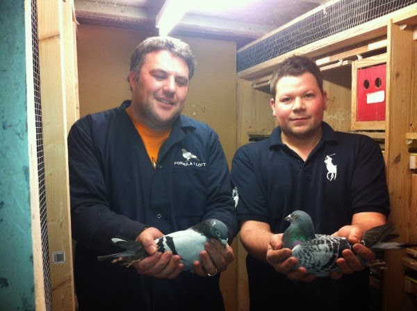 UK. RACING PIGEONS