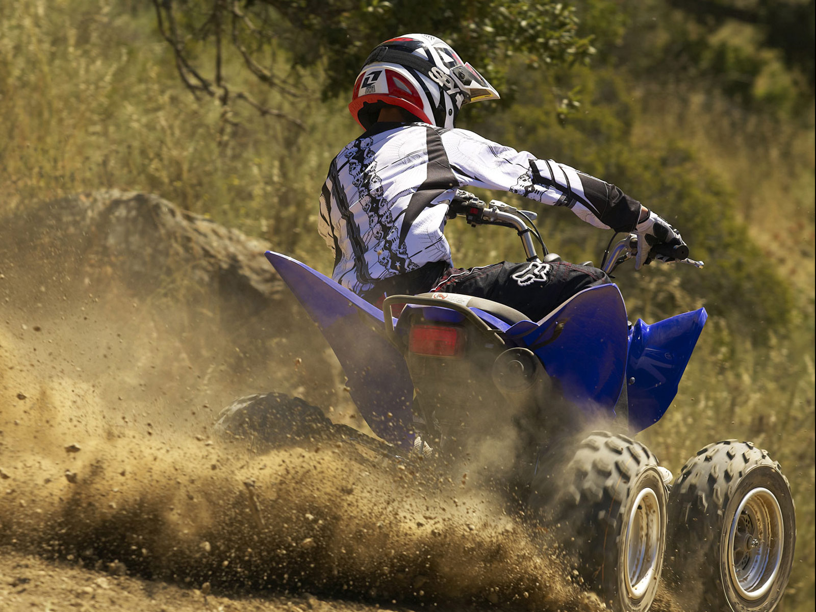 YAMAHA pictures | 2011 Raptor 250 ATV