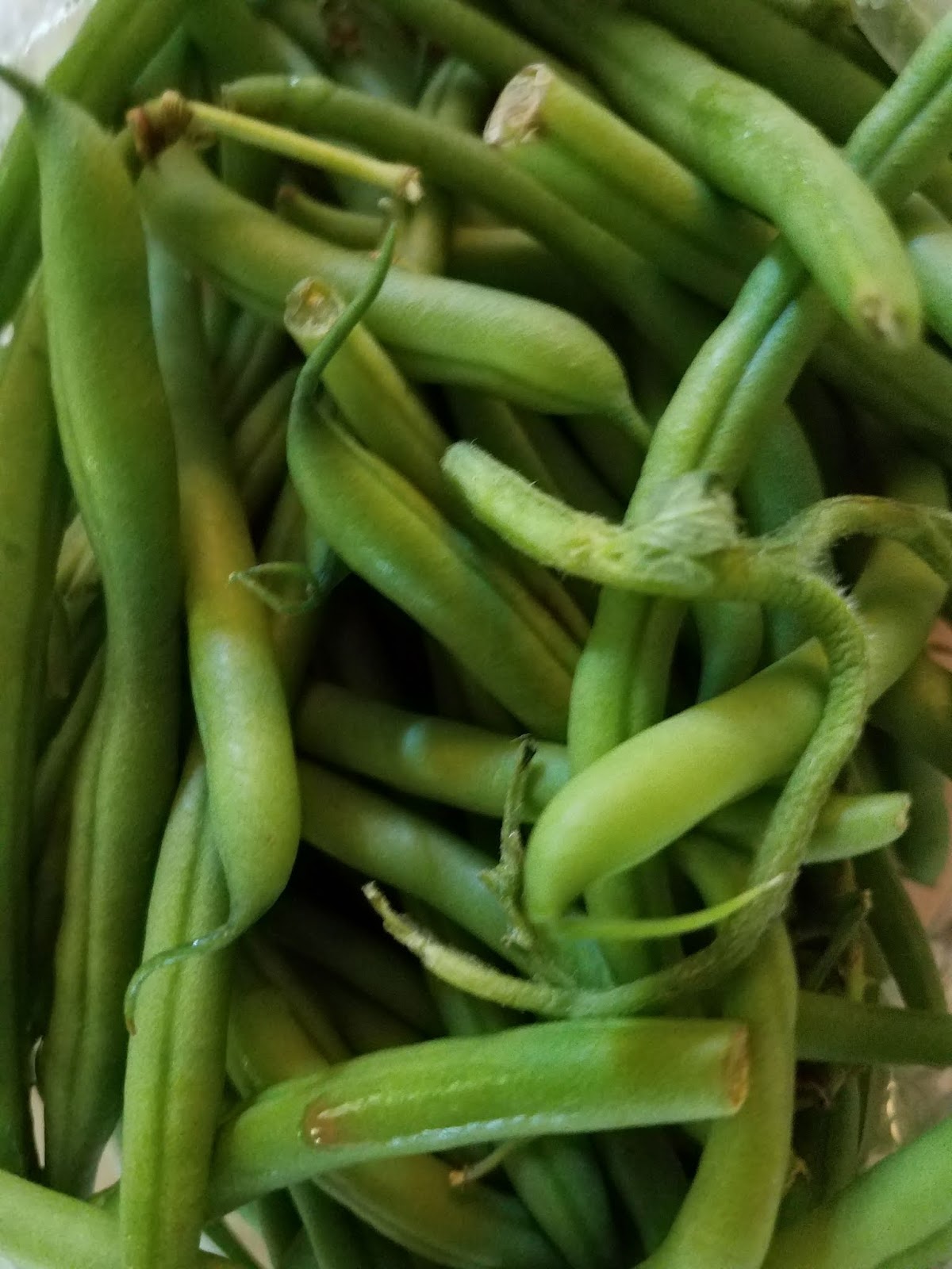 Who Likes Green Beans A Recipe Roundup To Change Your Mind Sunshine who-likes-green-beans-a-recipe-roundup-to-change-your-mind-sunshine