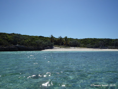 Things we did today...: A Bowl Full of Berrys