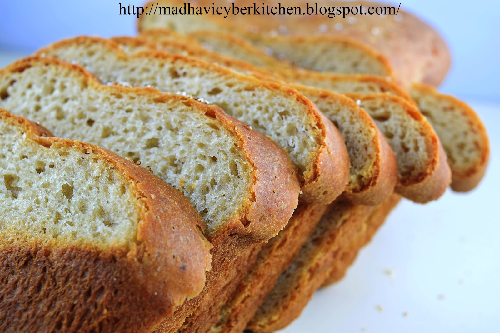 Madhavi's Cyber Kitchen: Amaranth Flour Bread