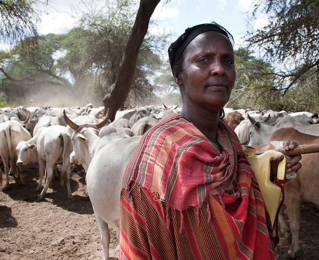 The European Civil Society Round-Up: Pastoralism - Part of the answer ...